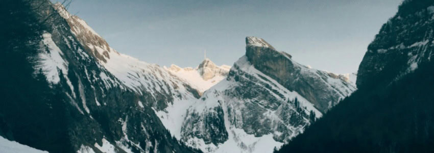 Guide: 5 insightful lessons you could learn from the world’s most ...